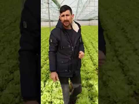 EŞE GÜBRE BİLECİKTE EKSİ 18 DERECEDE