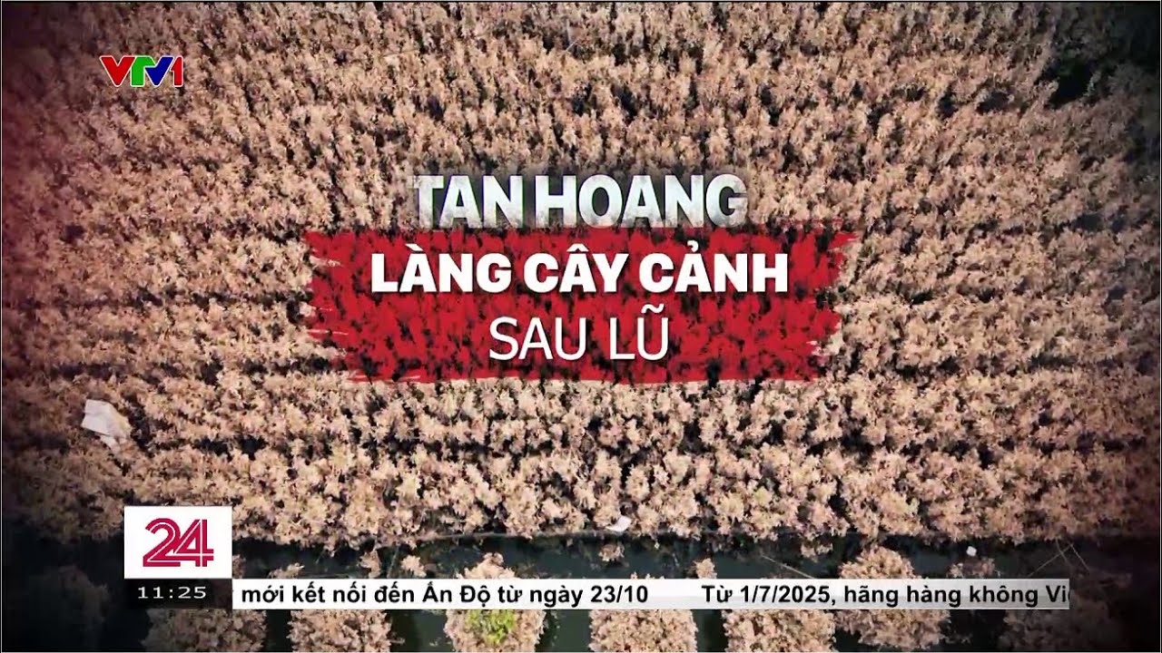 Tan hoang làng cây cảnh sau lũ | VTVWDB - YouTube