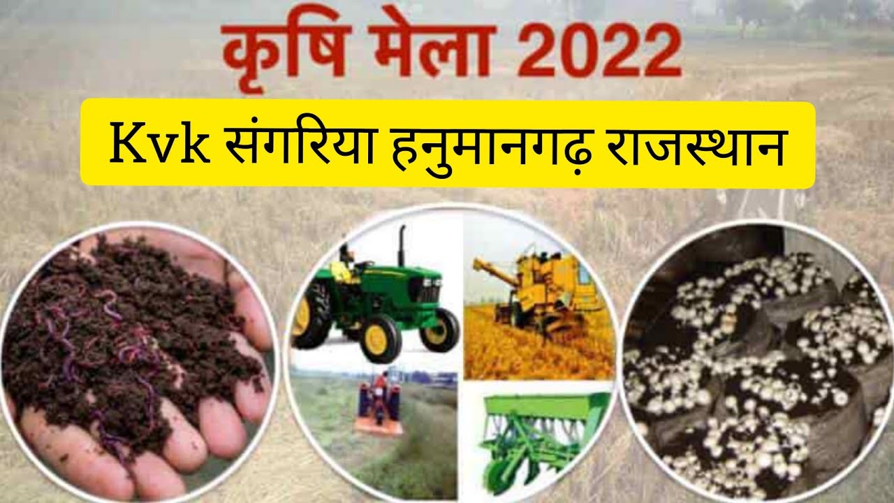Krishi Vigyan Kendra sangriya Kisan Mela 2022 Gulabi sundi ki roktham ...