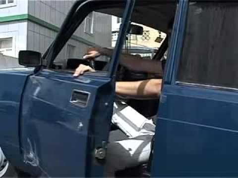 Lenkaran aftoslari fedya