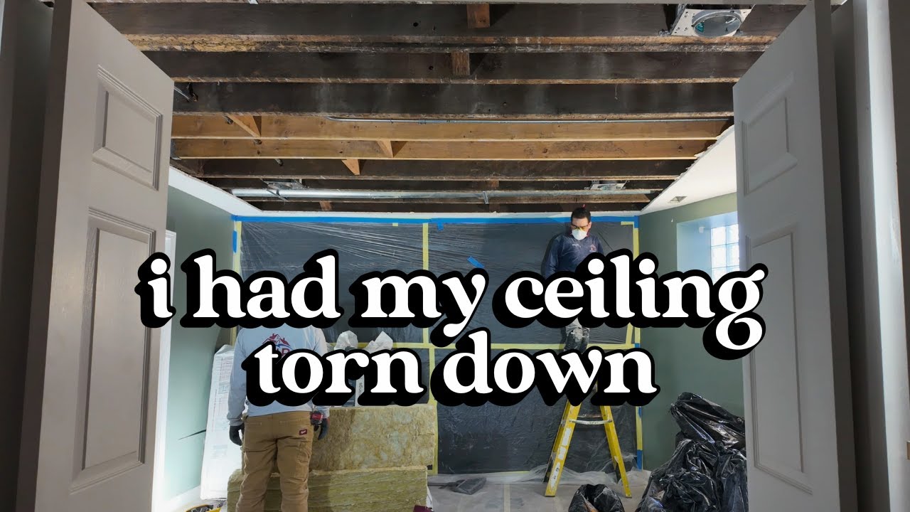 Depression Nest | The Ceiling HAD to GO + Still Soundproofing the Wall ...