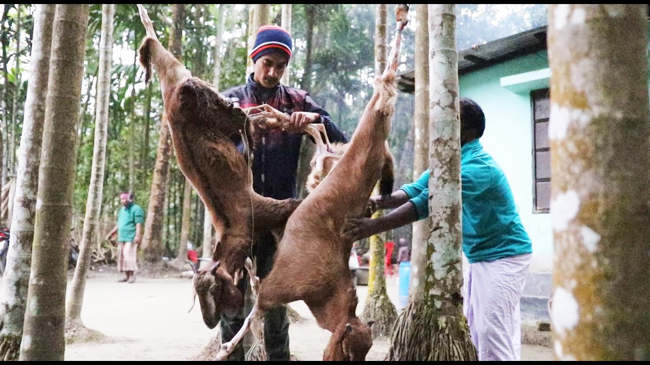 2 FULL GOAT COOKING | Village Traditional goat curry recipe | Delicious ...