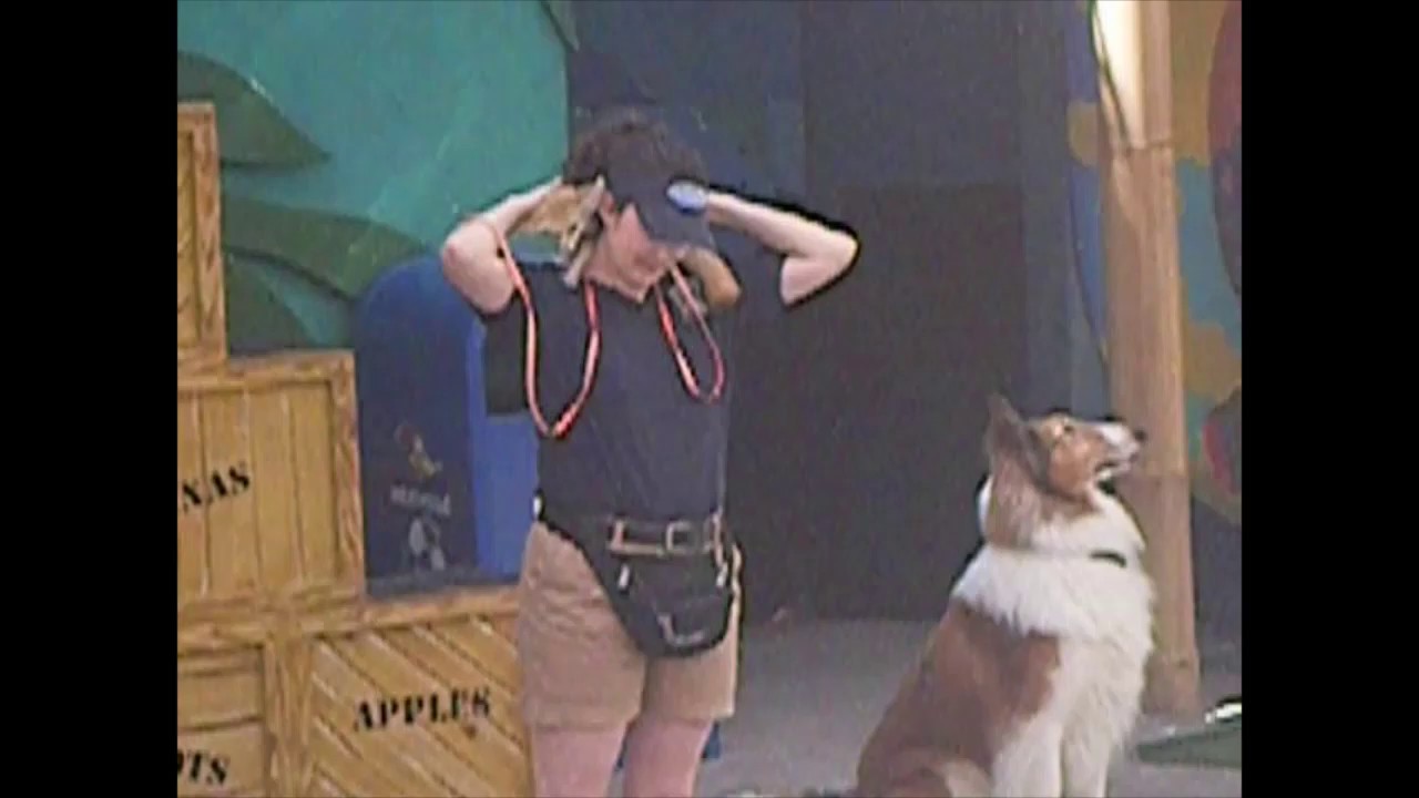 Animal Actors at Universal Studios California. - YouTube