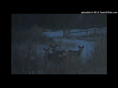 alex g - east coast (slowed)