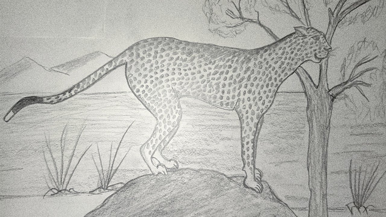 How to Draw Leopard | Full art a Leopard | #arts - YouTube