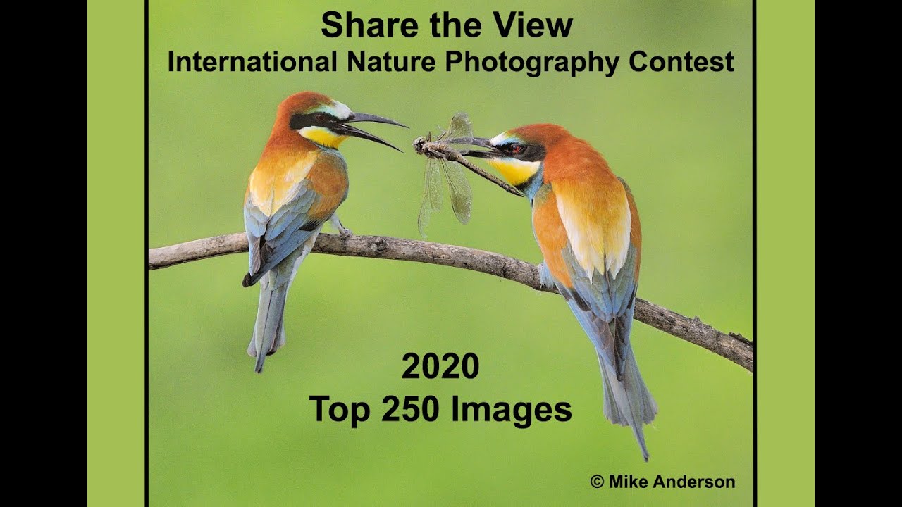 2020 Share the View Top 250 Images - YouTube