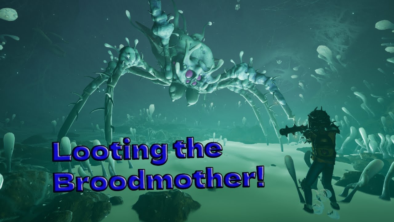 KILLING The New Infected Broodmother (all drops & Recipes) - YouTube