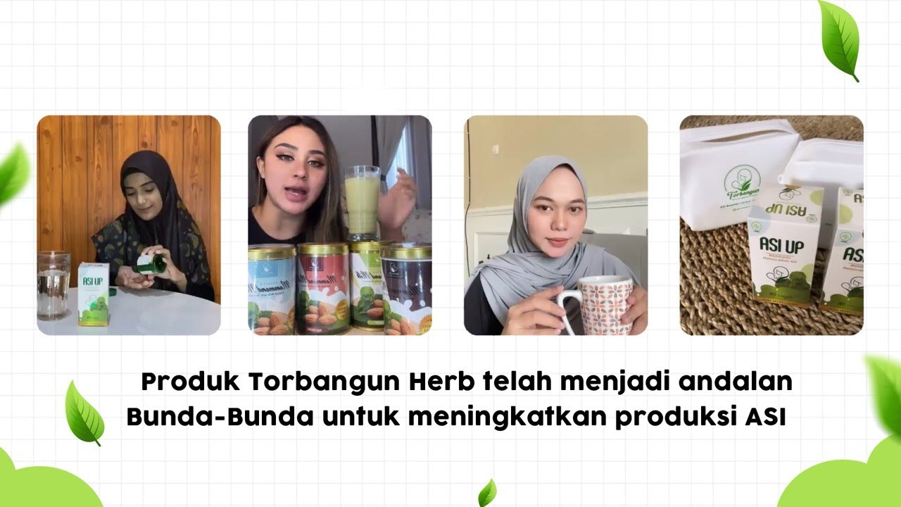 Produk Torbangun Herb Pilihan Terbaik Bunda untuk Meningkatkan Produksi ...