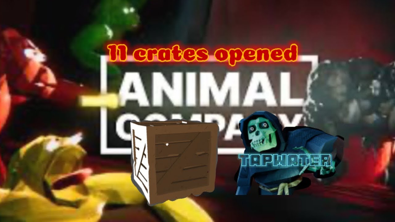 Opening 11 crates in animal company - YouTube