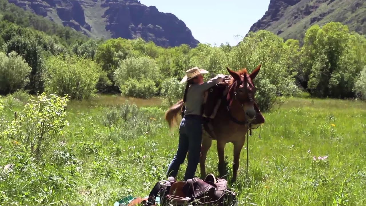 Riding the Range: BLM Range Rider at Steens Mountain Wilderness - YouTube