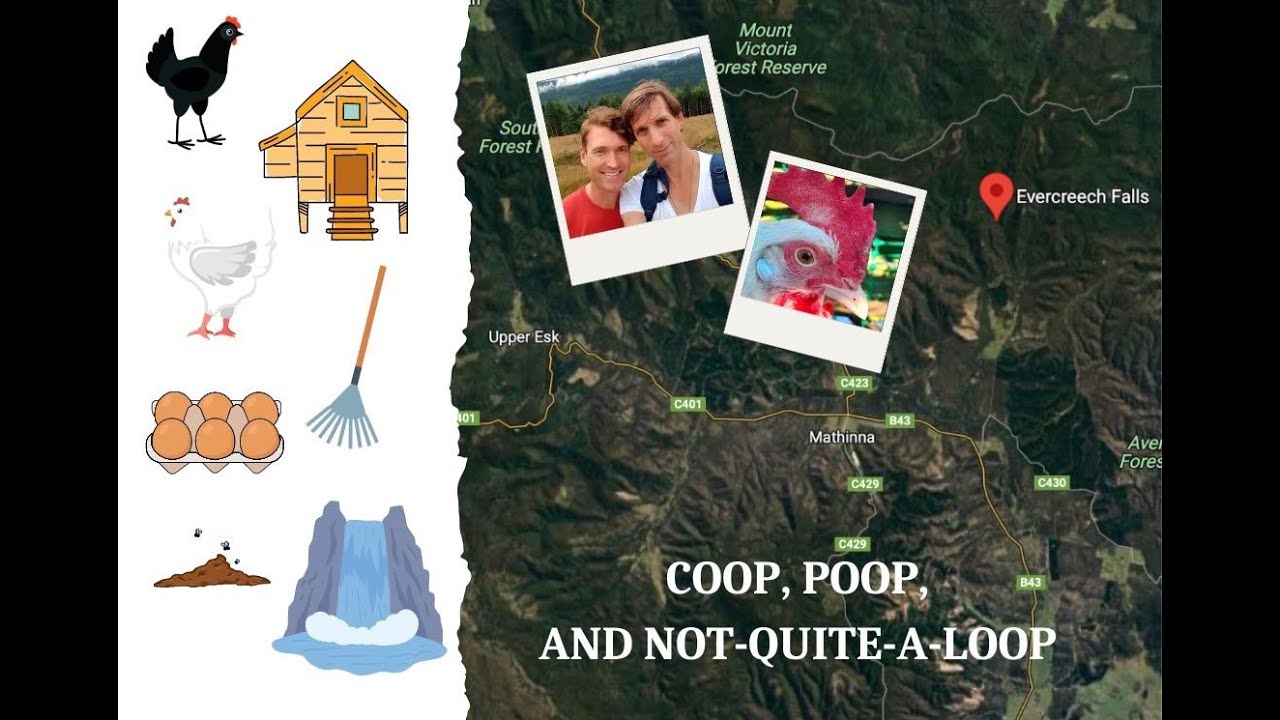 COOP, POOP, AND NOT-QUITE-A-LOOP - YouTube