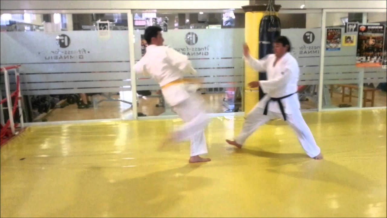 Aikido Tomiki : Practica Libre : Defensa contra patada semicircular 2 - YouTube