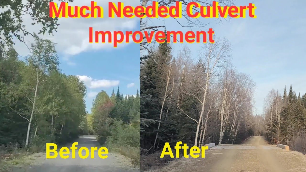 Unclogging A Large Culvert With Overnight Beaver Camera Building Back ...