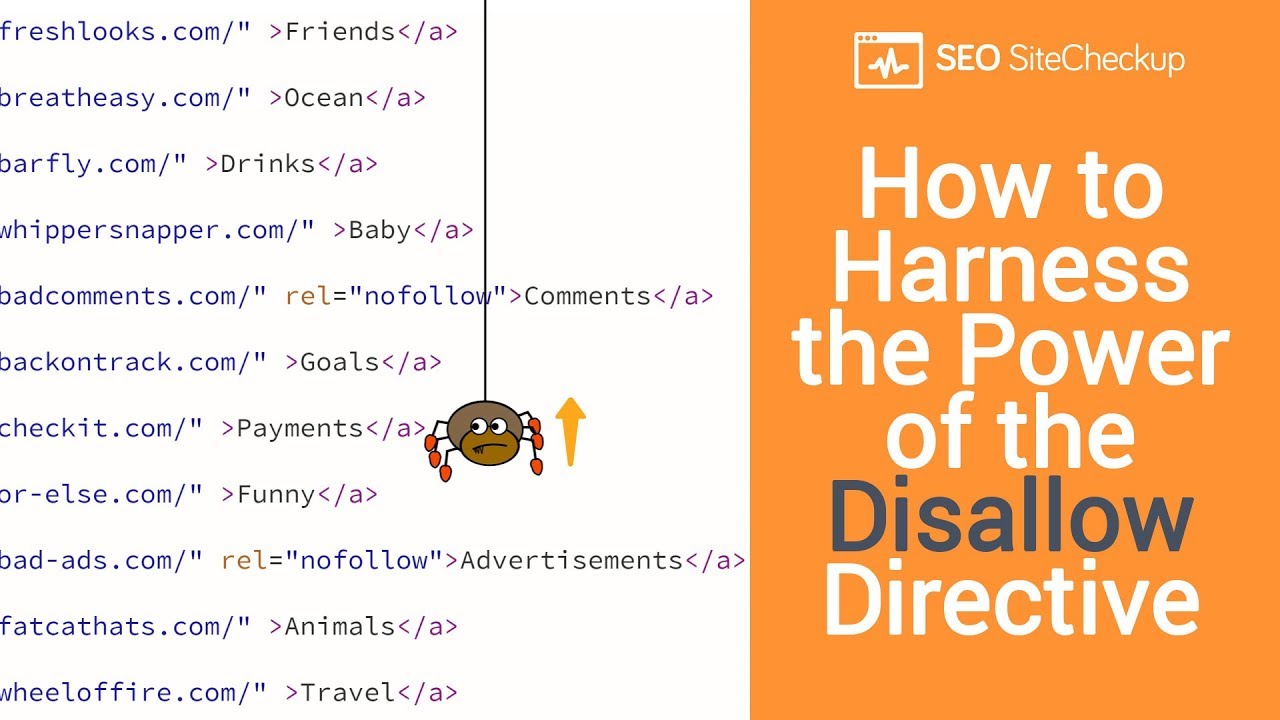How to Harness the Power of the Disallow Directive - YouTube