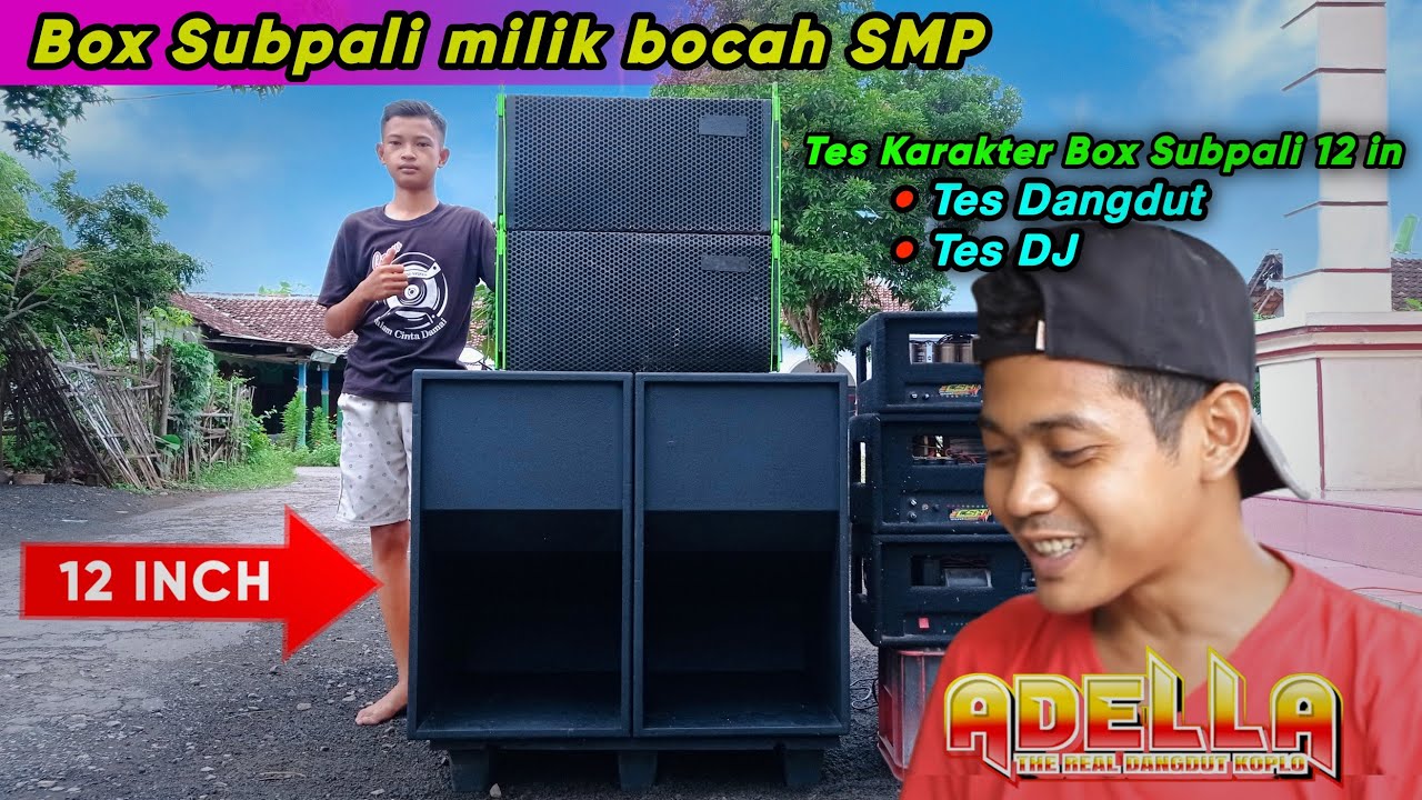 ISTIMEWA‼️Box Subwoofer Subpali 12 in box yang dipakai Cumi Cumi One ...
