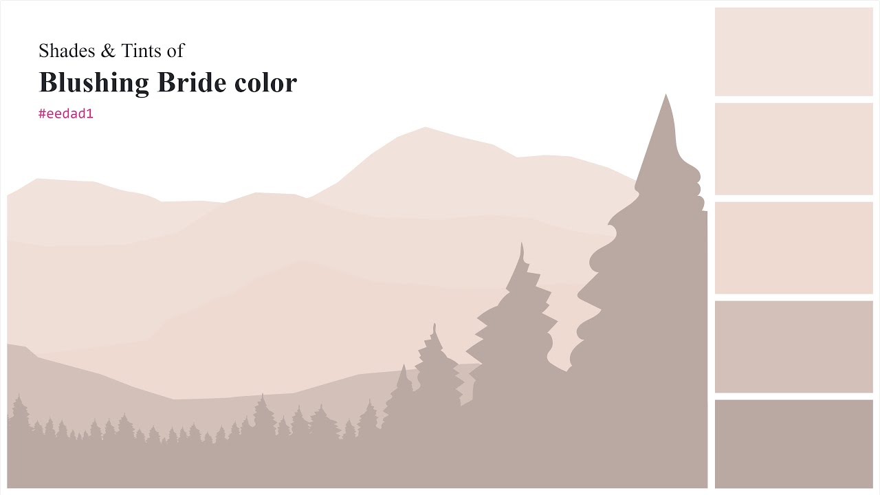 Shades & Tints of Blushing Bride color #eedad1 A Warm Orange color # ...