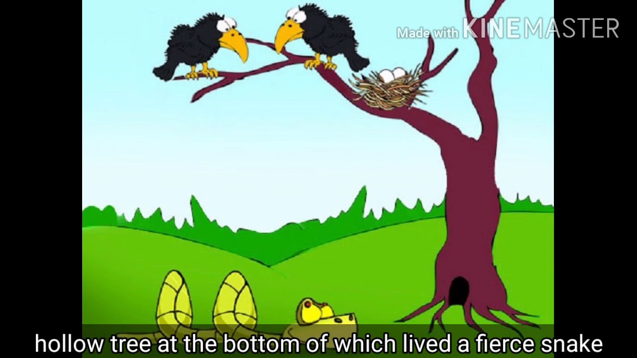 The crows and the snake - YouTube