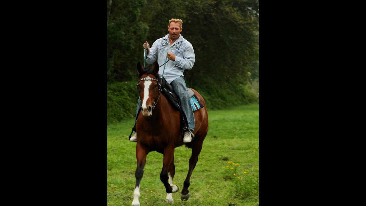 The Photo Warrior: Horses in Chilliwack BC - YouTube