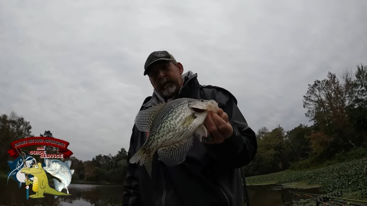 Crappie Fishing the River Little River Lake Talquin FLA - YouTube