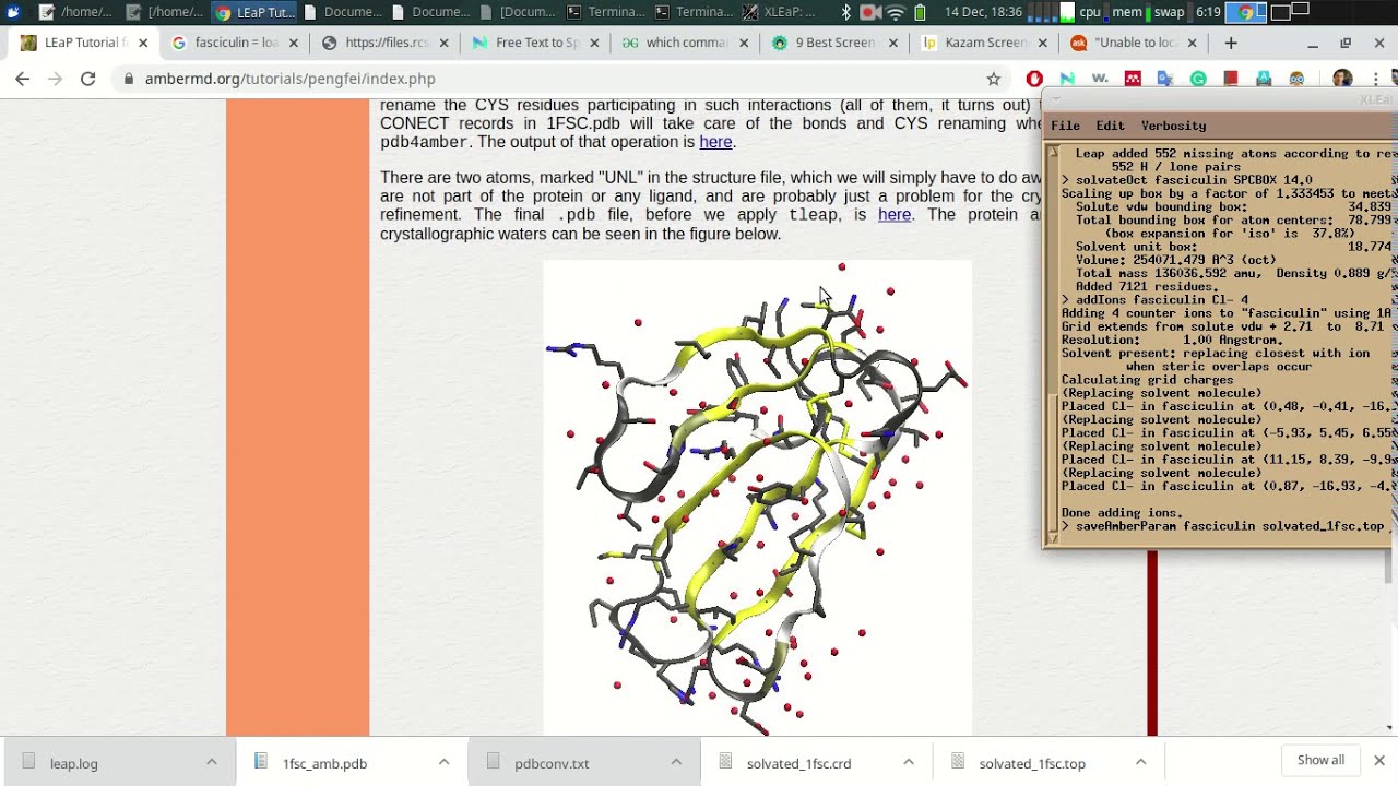 T2. Amber Tutorial xLeap / An Example with LEaP - YouTube