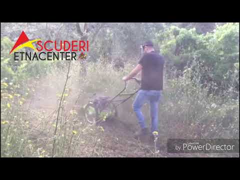 Dimostrazione Tagliaerba Trimmer Grillo - YouTube
