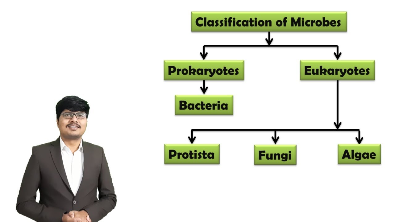 Living World and Classification of Microbes 5 | General Science | Class ...