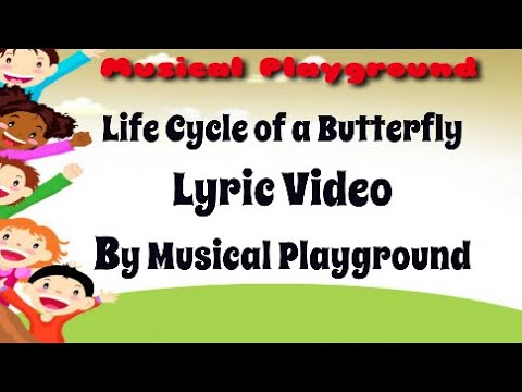 Life cycle of Butterfly - LYRIC VIDEO - YouTube
