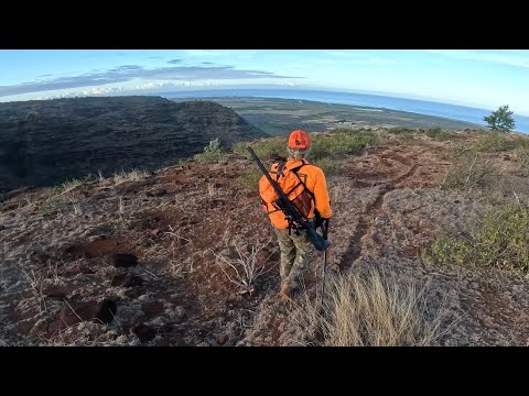 Muzzleloader Goat Hunting Unit A Kauai, Hawaii Late Season Tags 2025 ...
