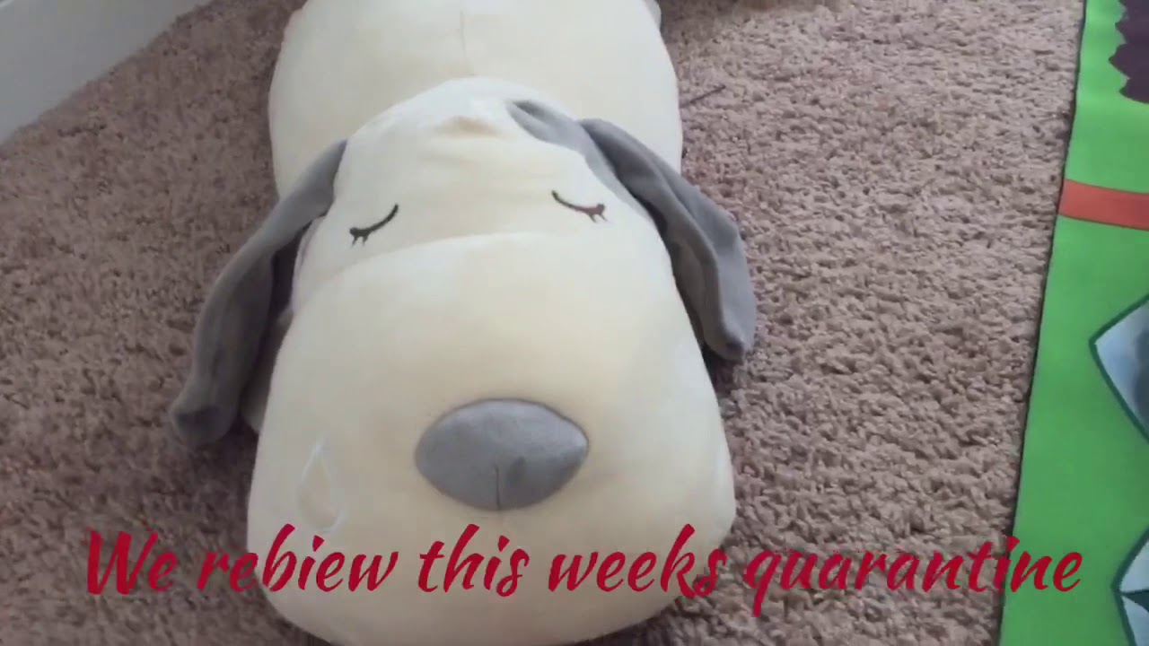 MAURICE IS BACK BABY! Maurice review episode 1 - YouTube