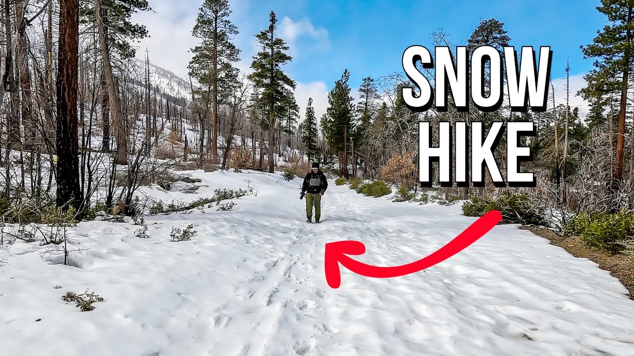 Exploring the Snowy Wilderness Amidst Howling Winds | Snow Hike | 4K ...