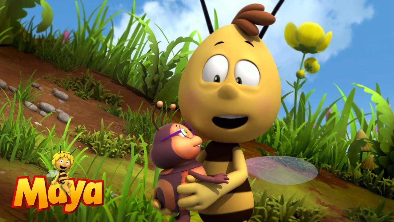 Babysitter Willy 🐝 Maya The Bee | Cartoon and video for Kids - YouTube