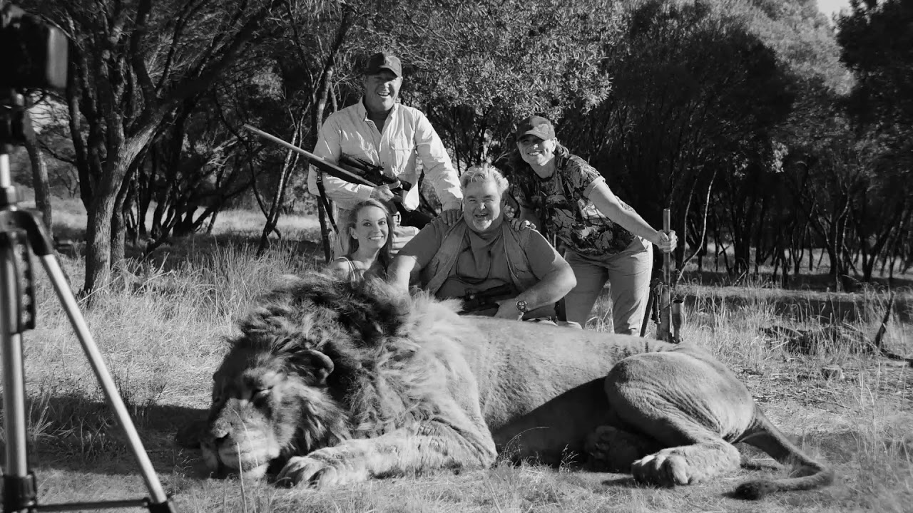Lion trophy hunting is animal cruelty - YouTube