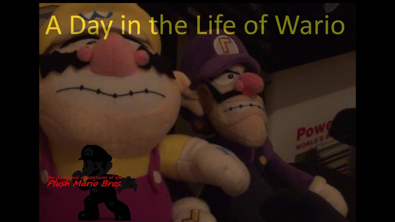 A Day in the Life of Wario - The Awkward Adventures of the Plush Mario ...