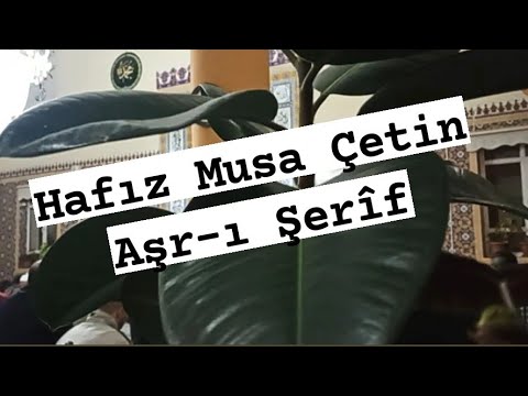 Hafız Musa Çetin Bakara Son Ayetler - YouTube