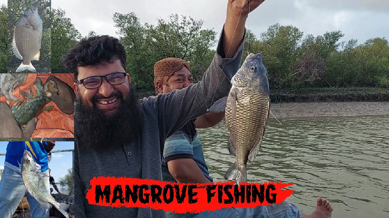 Mangrove | Mangrove Fishing | Karachi Fishing - YouTube