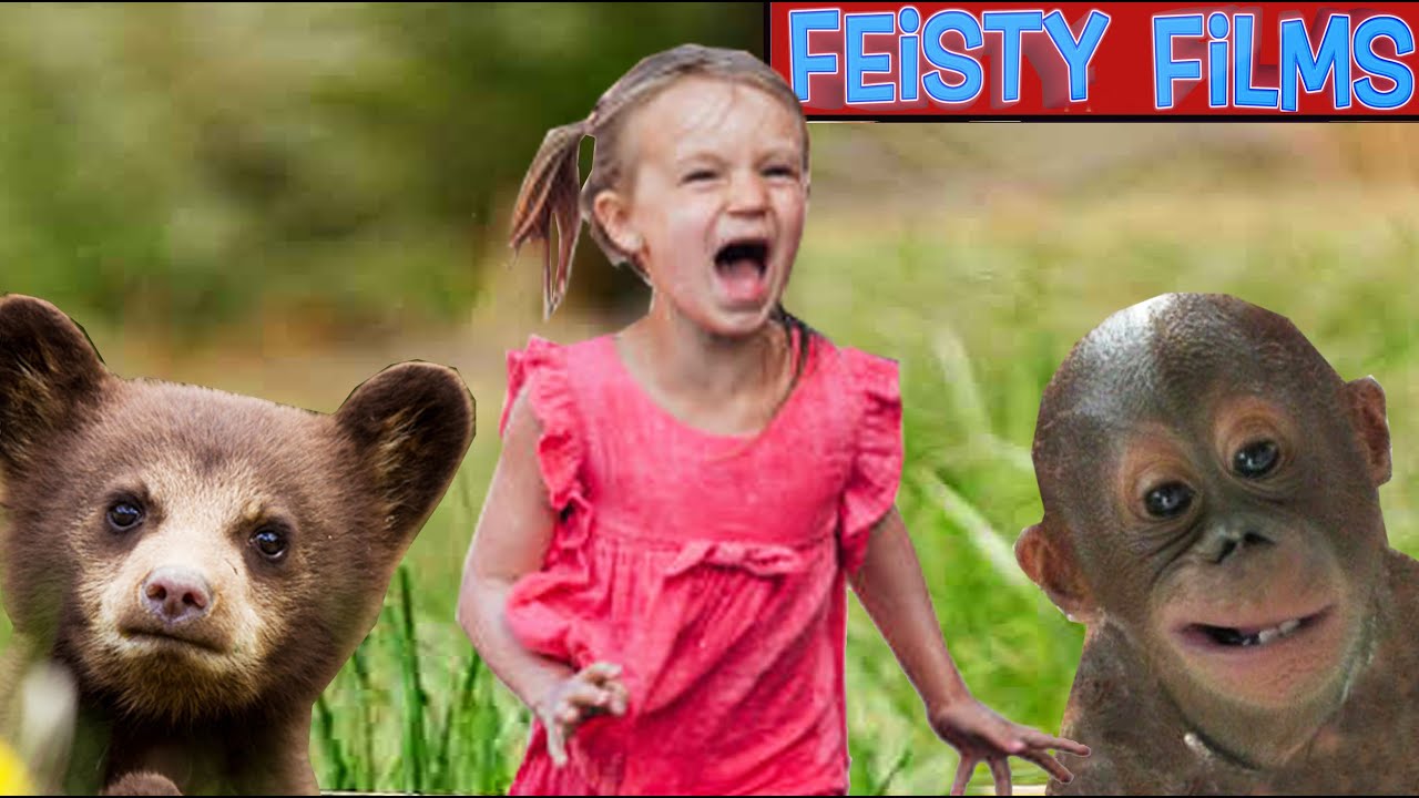 Fluffy Critters Surprise Helpless Humans! A Feisty Films Compilation ...