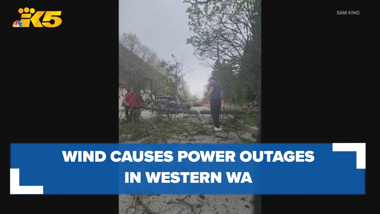 Wind causes scattered power outages, downed trees in western Washington ...