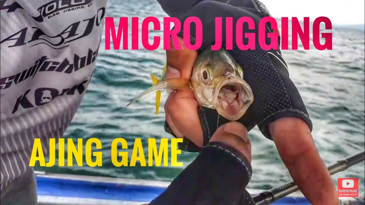 Micro jig Casting and Ajing Game - YouTube