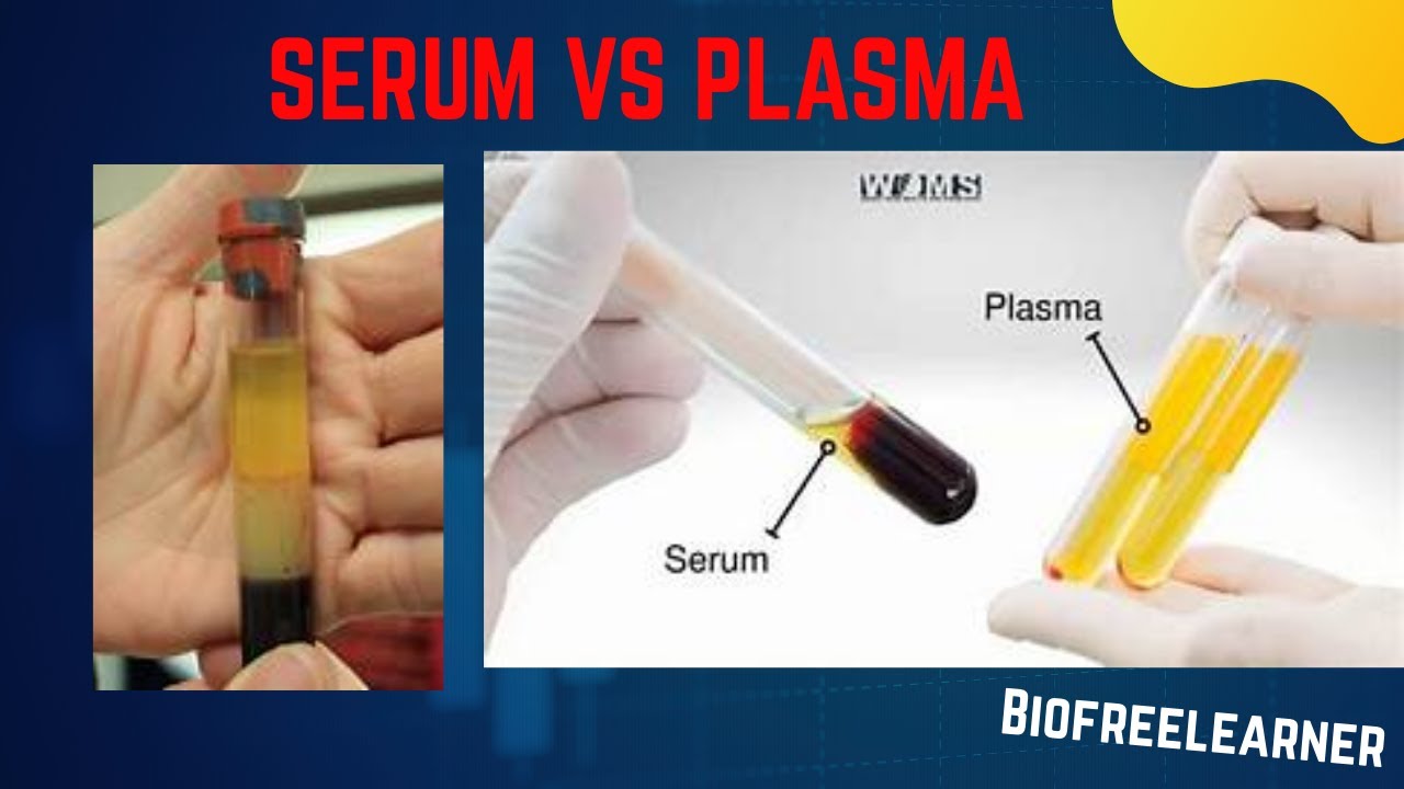 SERUM VS PLASMA - YouTube