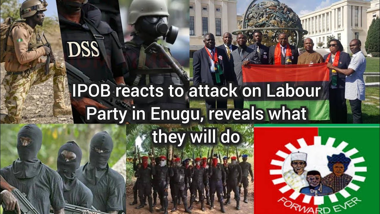 IPOB reacts to attack on Labour Party in Enugu, reveals what they will ...
