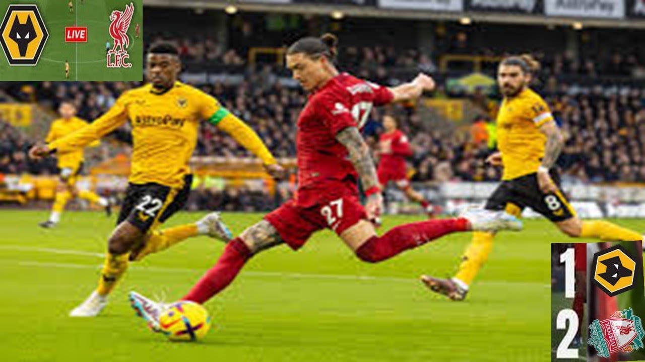 Liverpool fc vs wolves extended highlights - YouTube