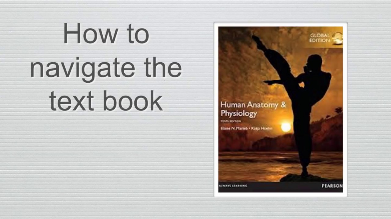 Navigate the text book - YouTube