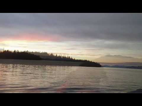 Commercial hand trolling for dogs (Chum salmon) in southeast Alaska ...