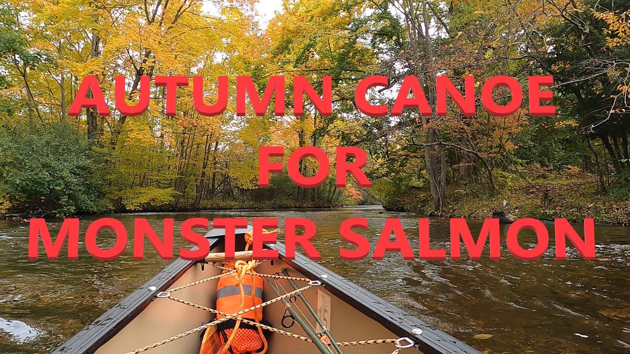 Autumn Canoe For Monster Salmon - YouTube