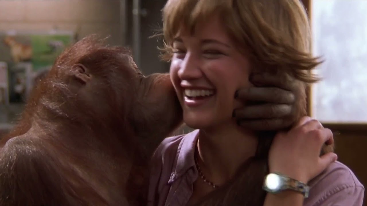Animal (2001) - YouTube
