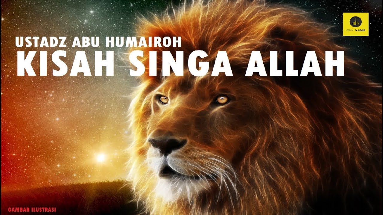 KISAH SINGA ALLAH " ISLAMNYA HAMZAH.RA " - USTADZ ABU HUMAIROH - YouTube