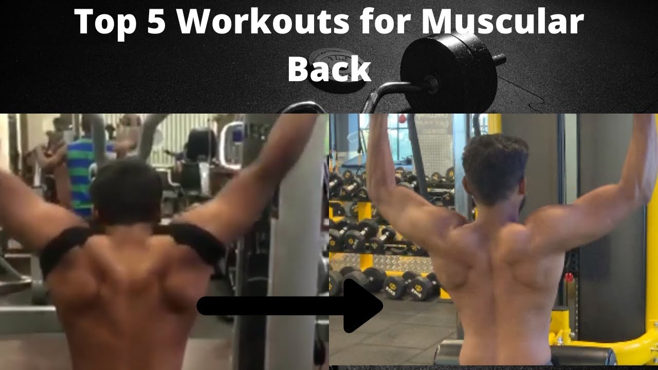 How to build a strong and muscular BACK! - YouTube