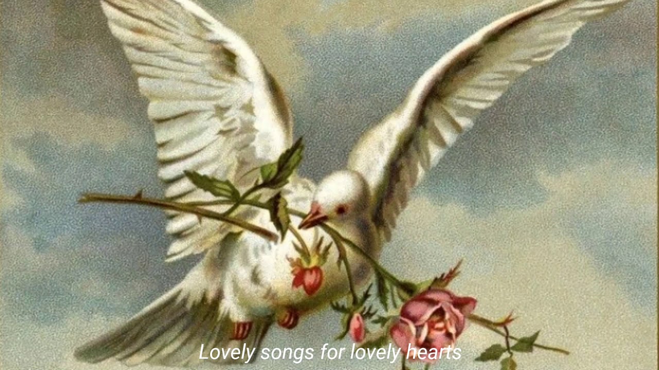 Ari Roar - Dove (subtítulos español) - YouTube