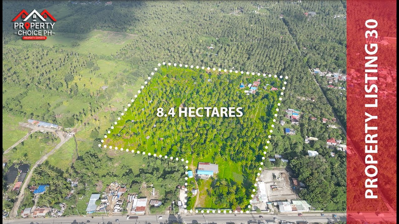 8.4 HECTARES LOT IN TUGBOK | DAVAO - YouTube