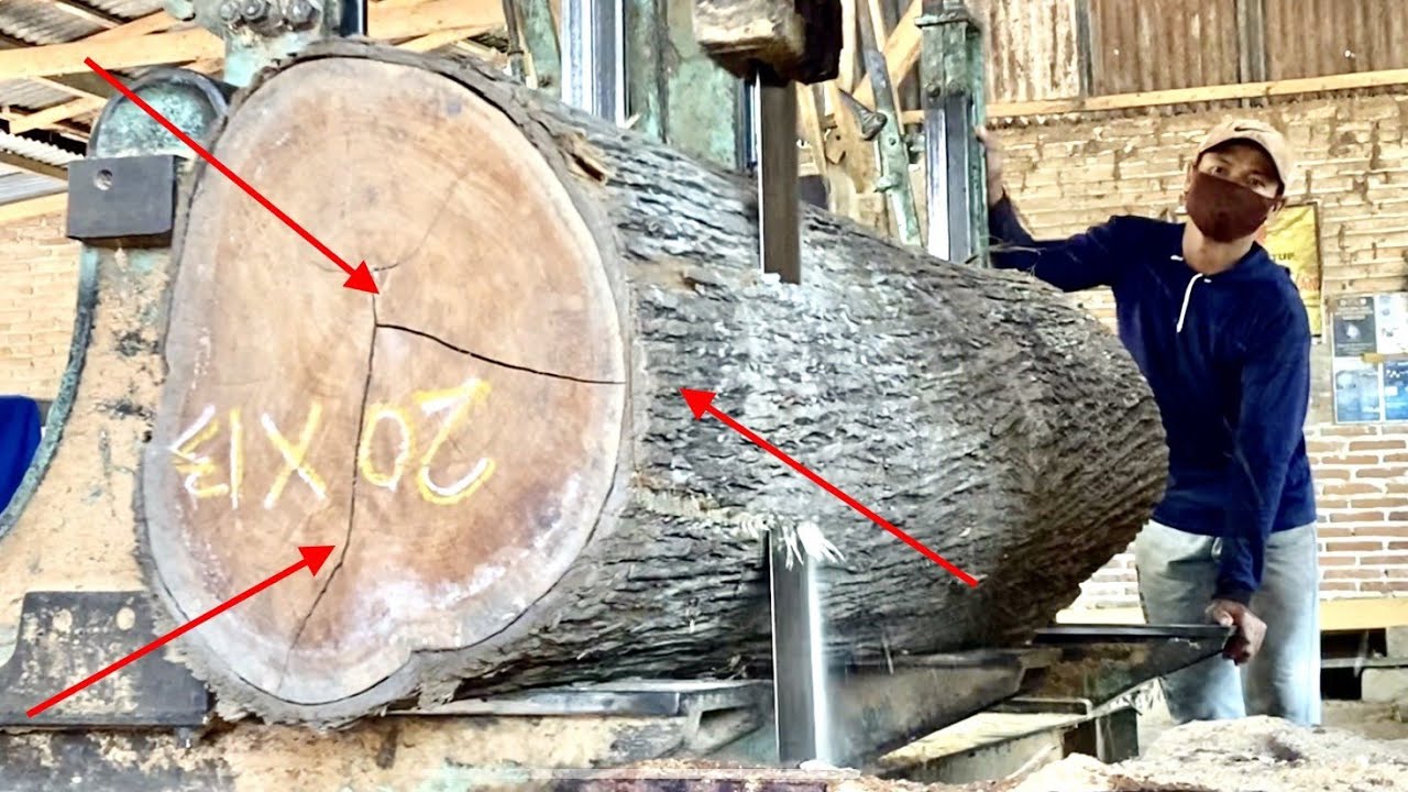 The affordable,easy to use and cutting teak Wood ! Mengolah kayu jati ...